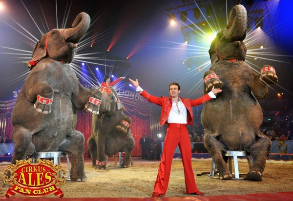 Cirkus Aleš v Bardejove | SDEŤMI.com