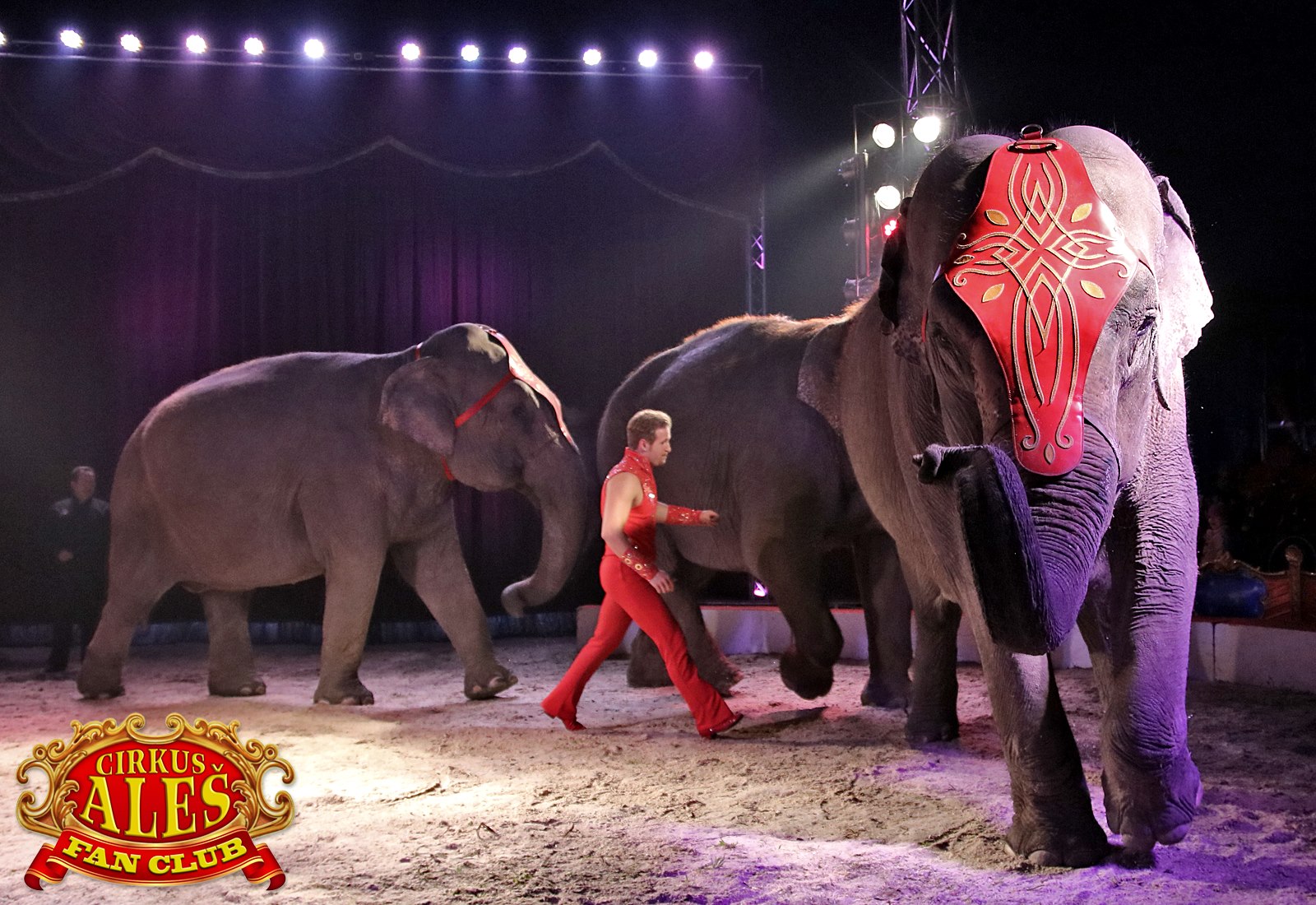 Cirkus Aleš | SDEŤMI.com