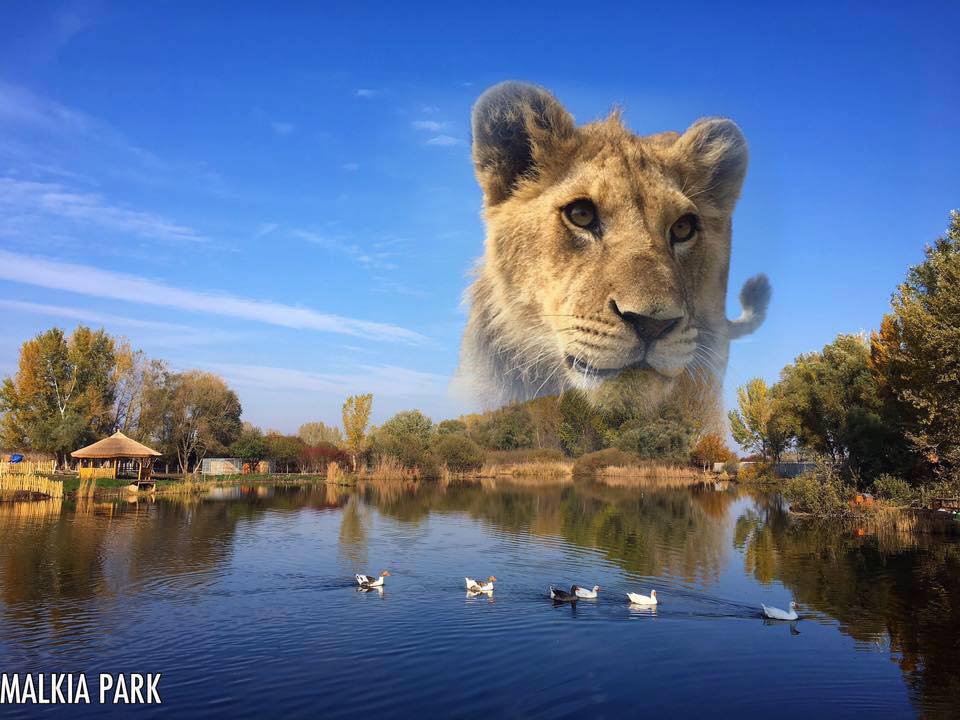 Otvorenie Malkia Parku | SDEŤMI.com