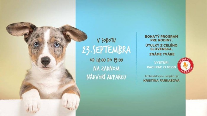 Nájdite sa... so zvieratkom z útulku | SDEŤMI.com Nájdite sa... so zvieratkom z útulku | SDEŤMI.com