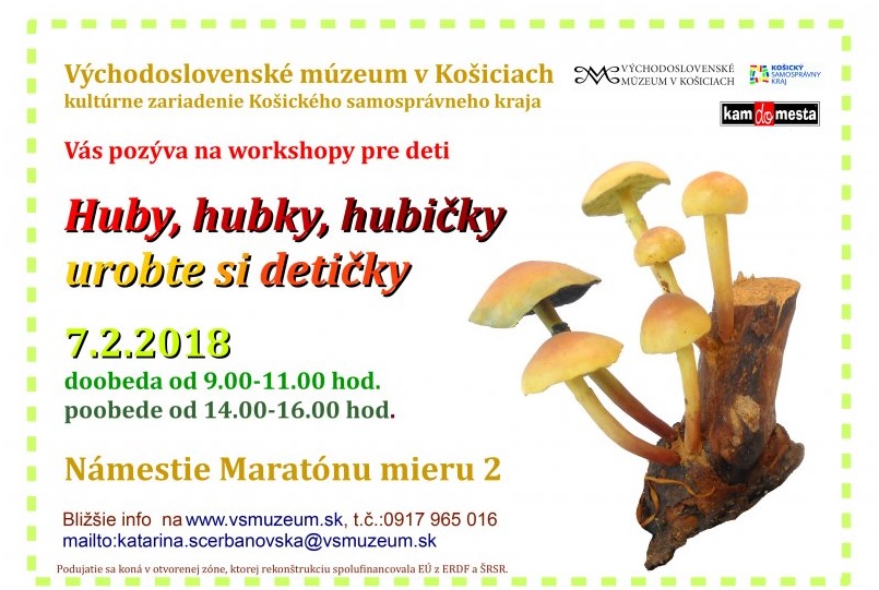 Workshop Huby, hubky, hubičky | SDEŤMI.com