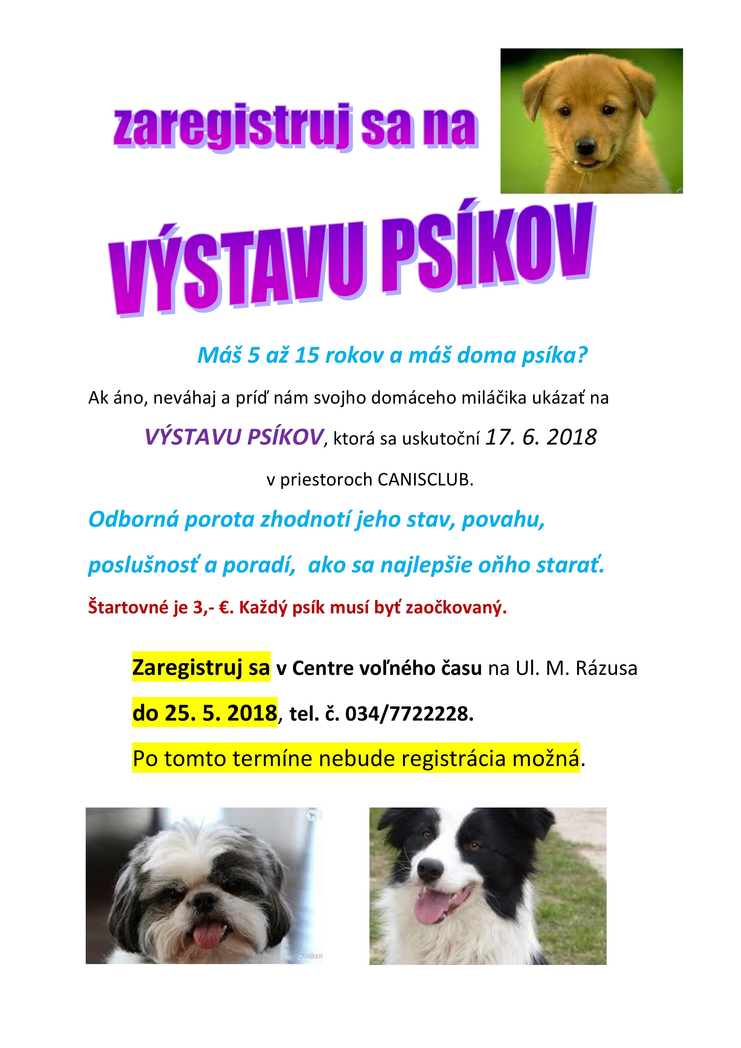 Výstava psíkov | SDEŤMI.com