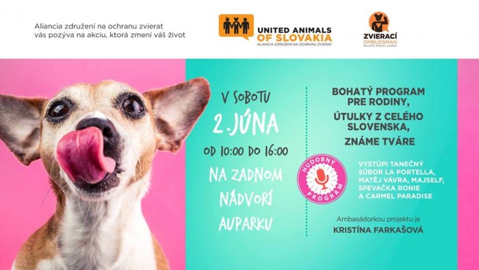 Nájdite sa so zvieratkom z útulku | SDEŤMI.com Nájdite sa so zvieratkom z útulku | SDEŤMI.com