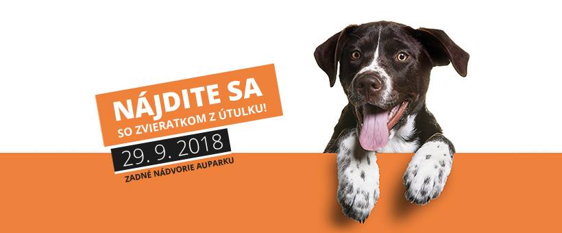 Nájdite sa so zvieratkom z útulku | SDEŤMI.com Nájdite sa so zvieratkom z útulku | SDEŤMI.com