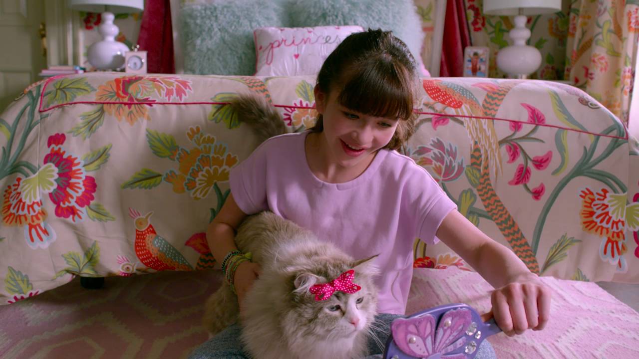 Obľúbené rodinné filmy, ktoré sa oplatí vidieť | SDEŤMI.com