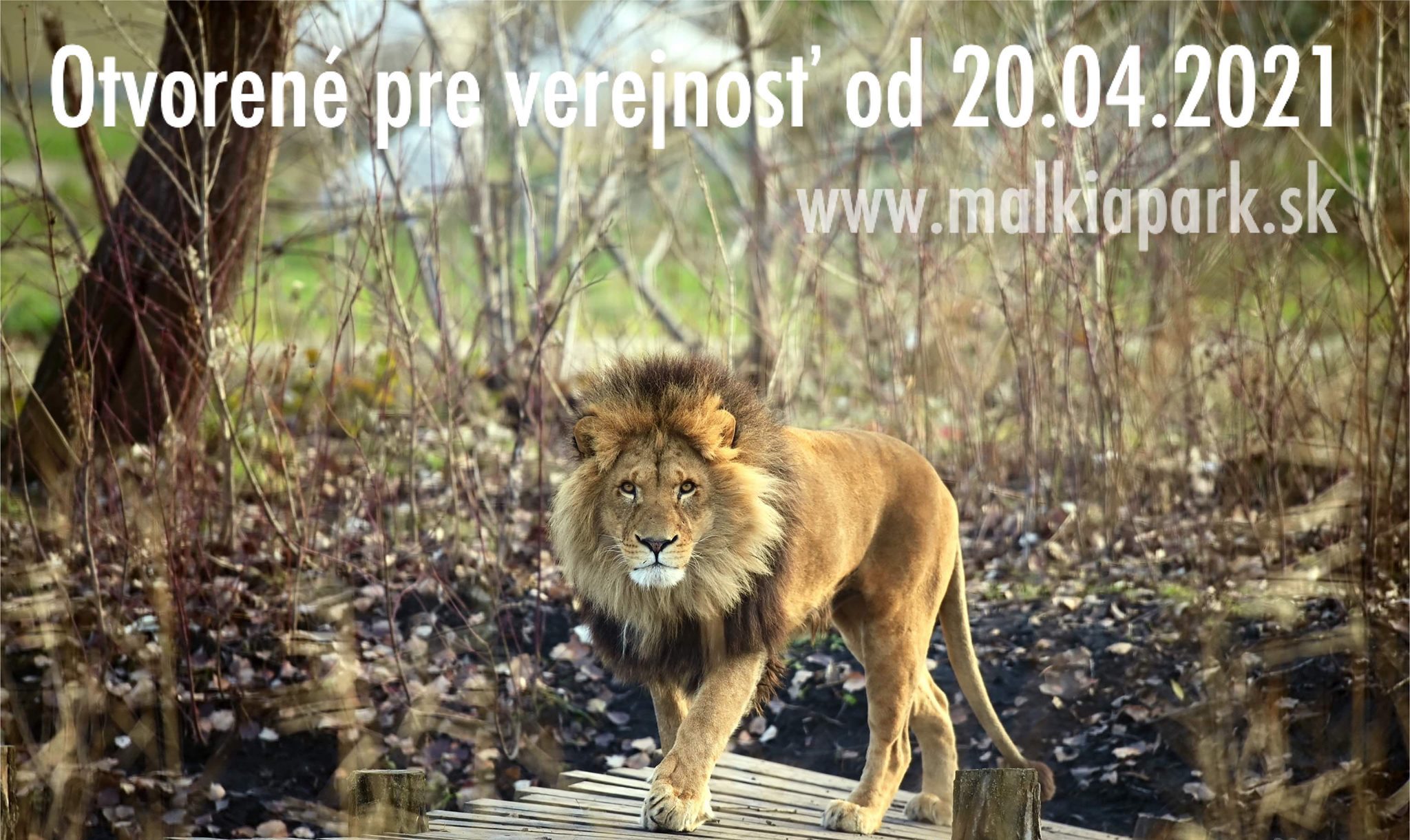 Malkia Park opäť otvorený | SDEŤMI.com