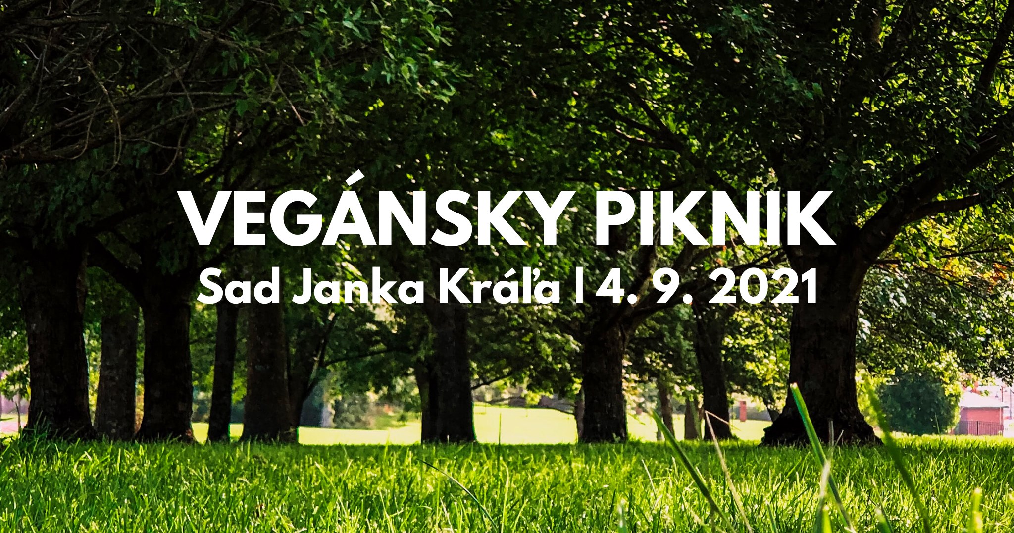 Vegánsky piknik v Sade Janka Kráľa | SDEŤMI.com