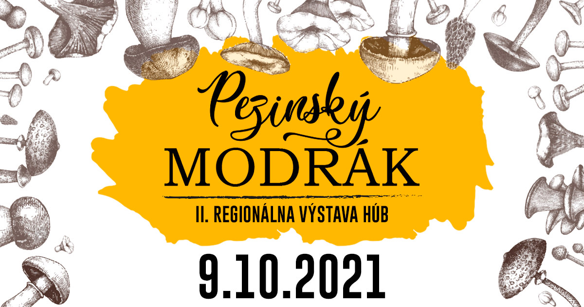 Pezinský Modrák | SDEŤMI.com