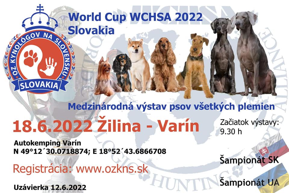 Medzinárodná výstava psov | SDEŤMI.com