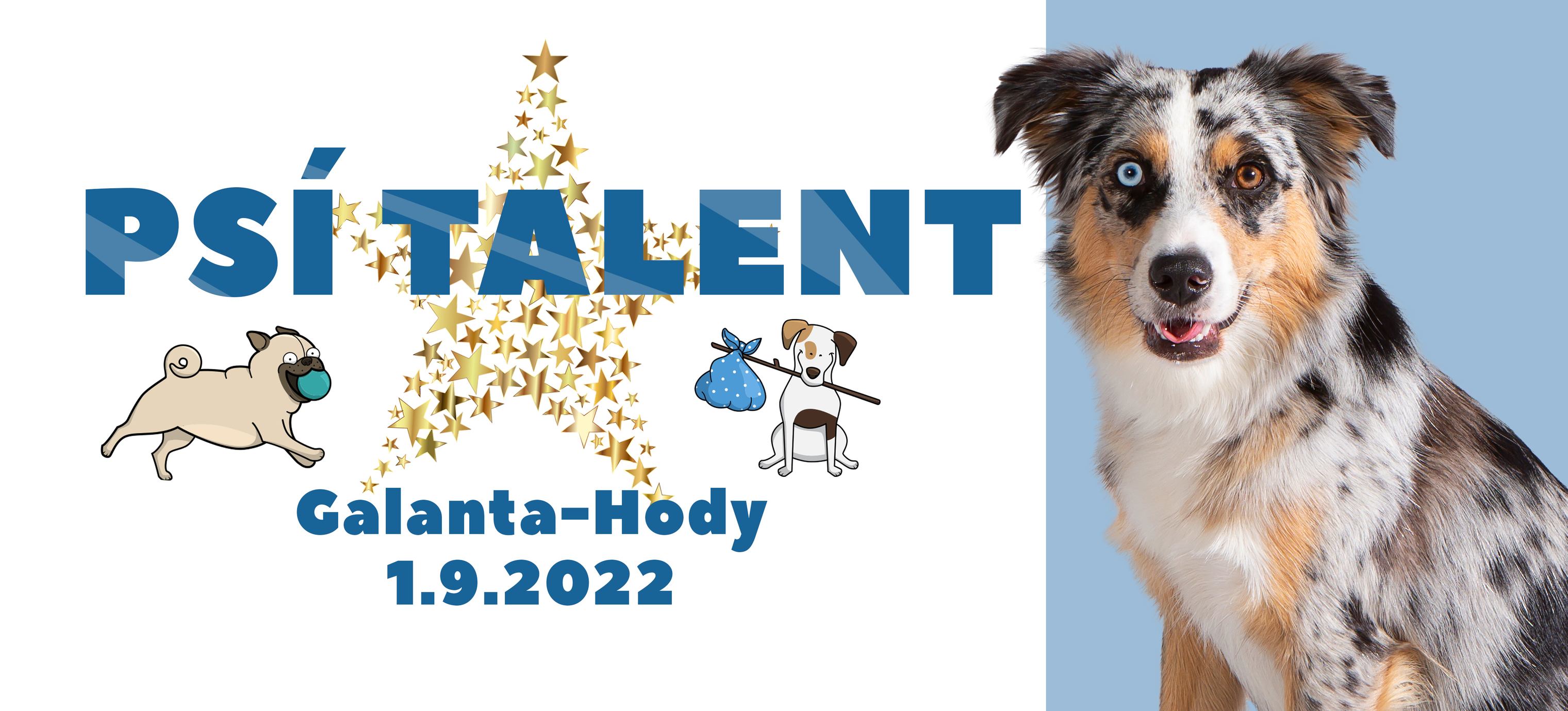 Psí talent 2022 | SDEŤMI.com