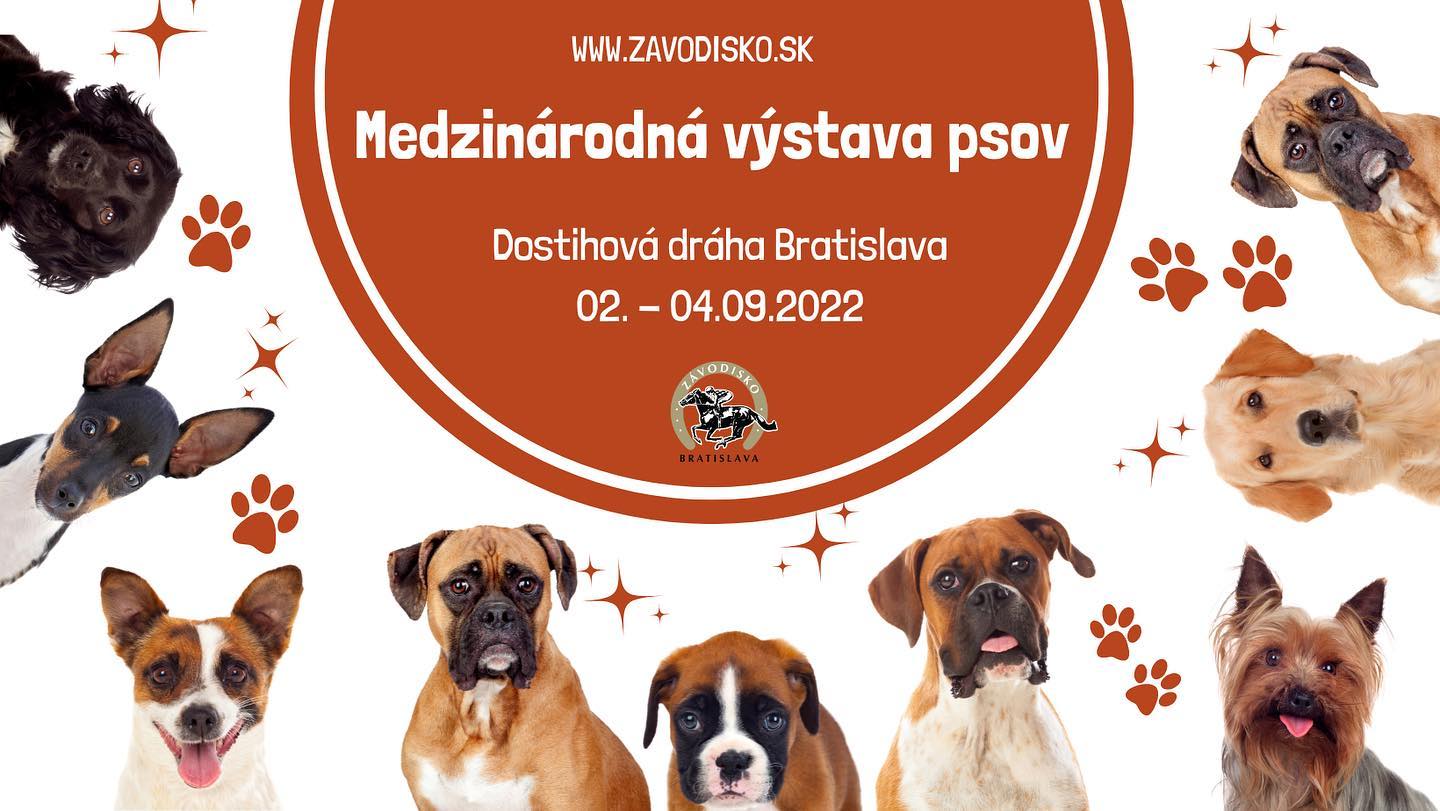 Medzinárodná výstava psov | SDEŤMI.com