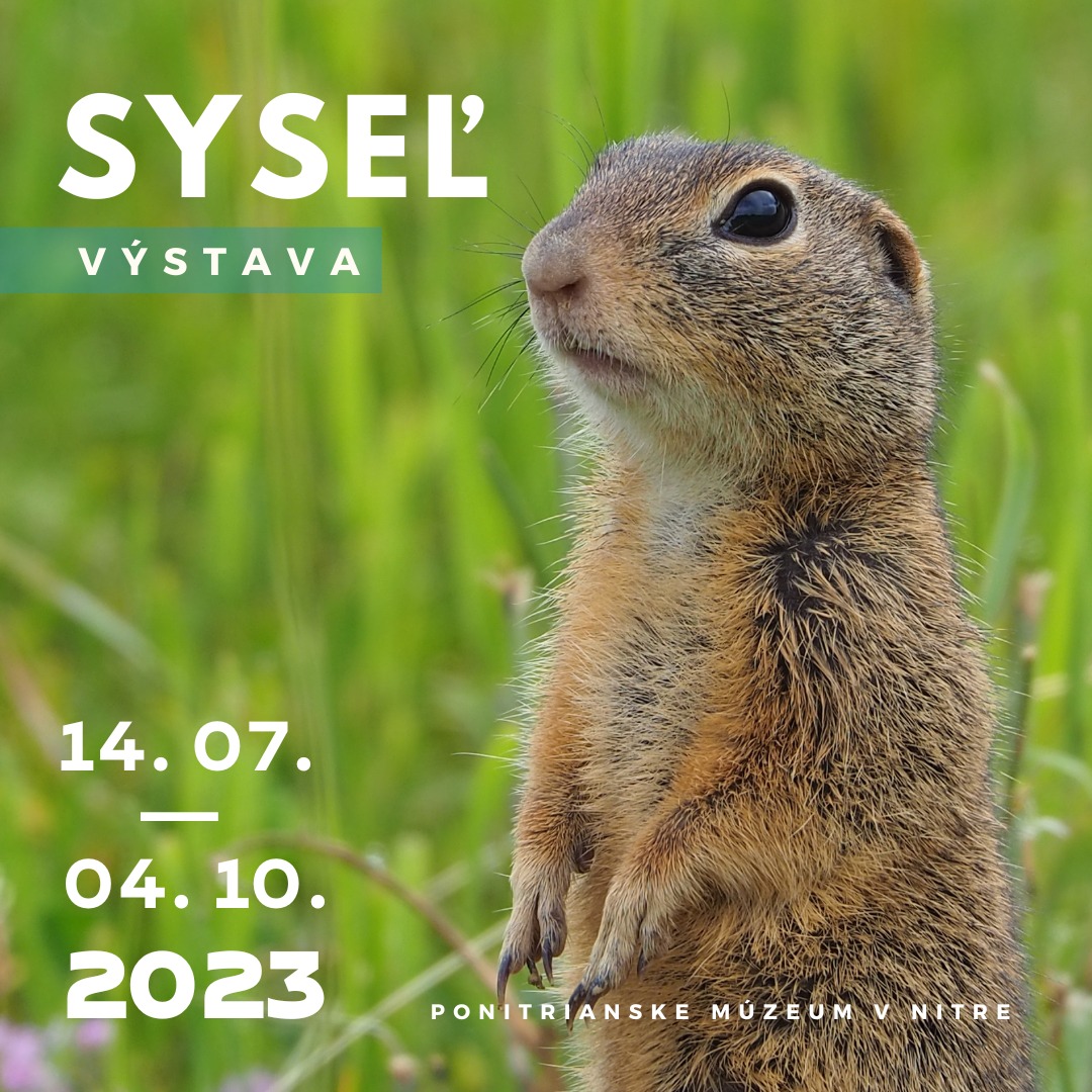 Výstava Syseľ | SDEŤMI.com
