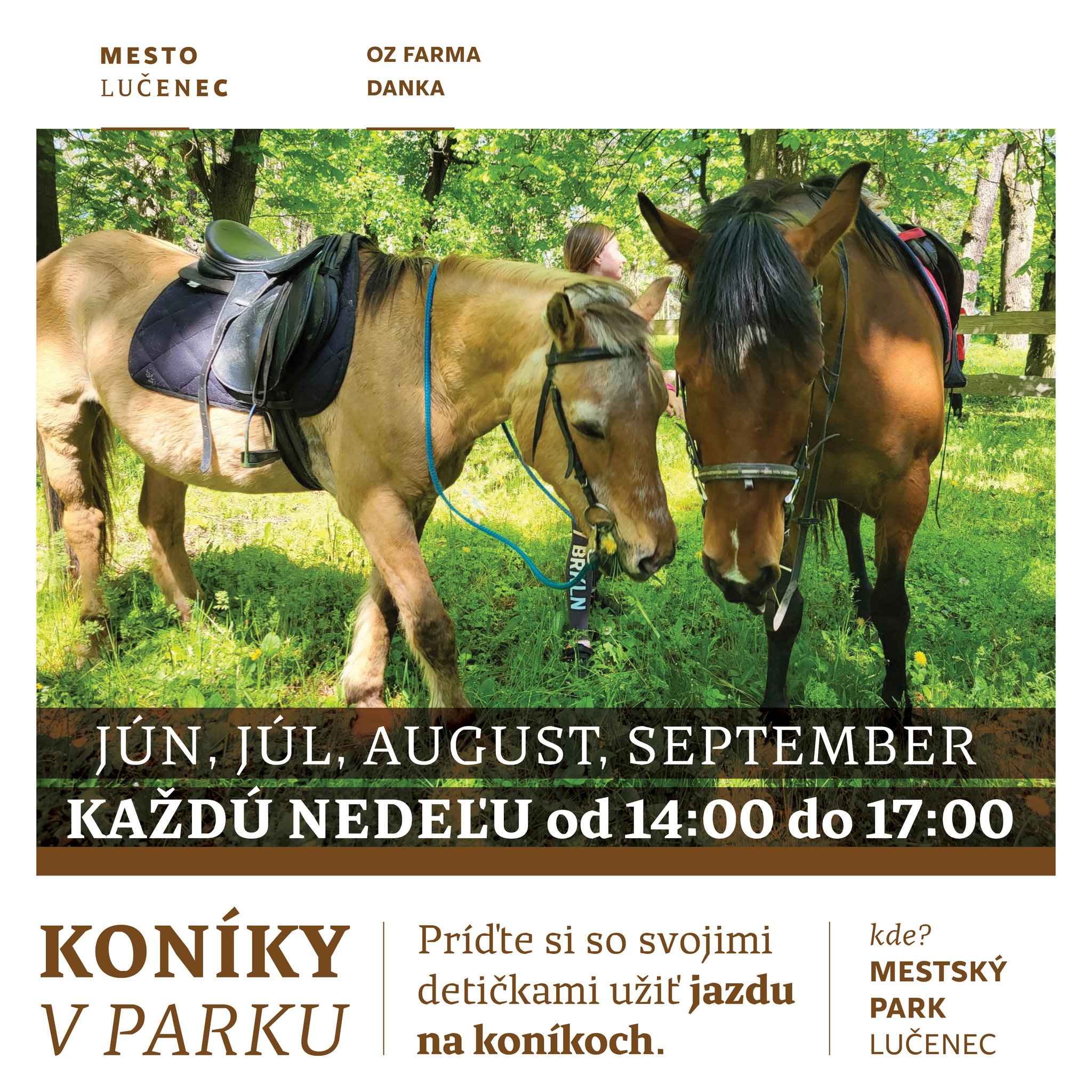 Koníky v parku | SDEŤMI.com