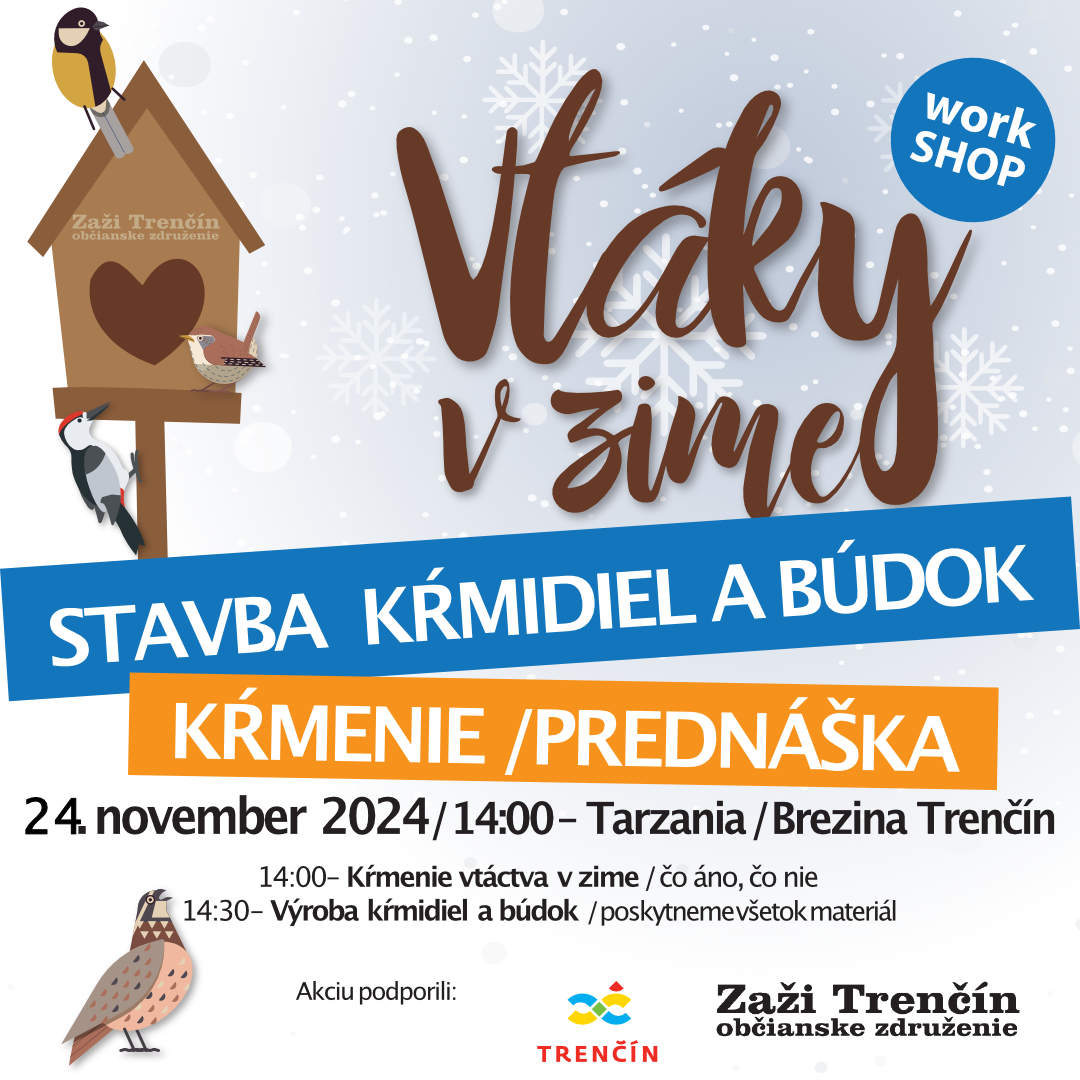 Vtáky v zime | SDEŤMI.com