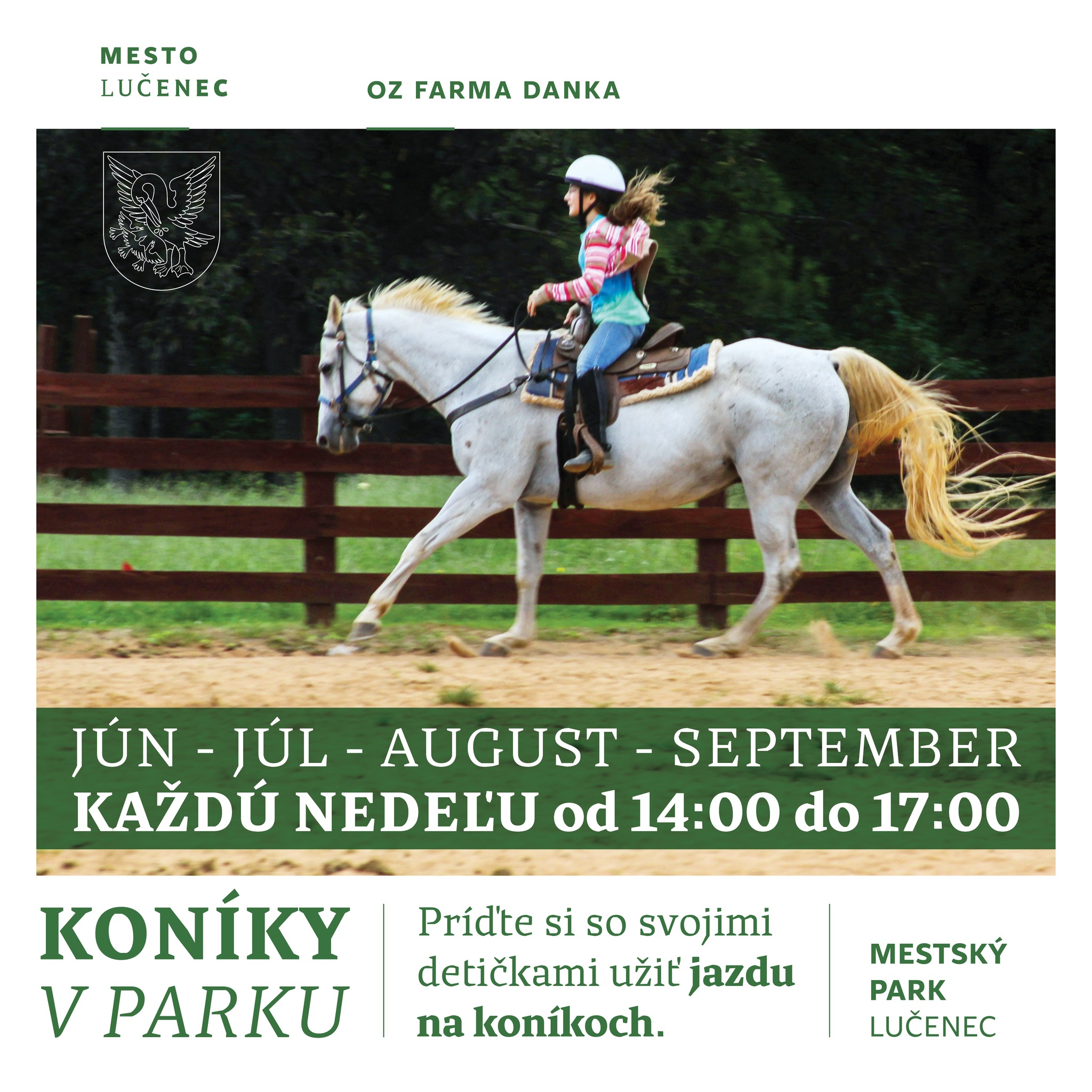 Koníky v parku | SDEŤMI.com